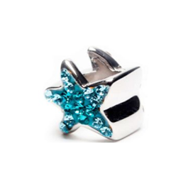 Starfish Blue Charm